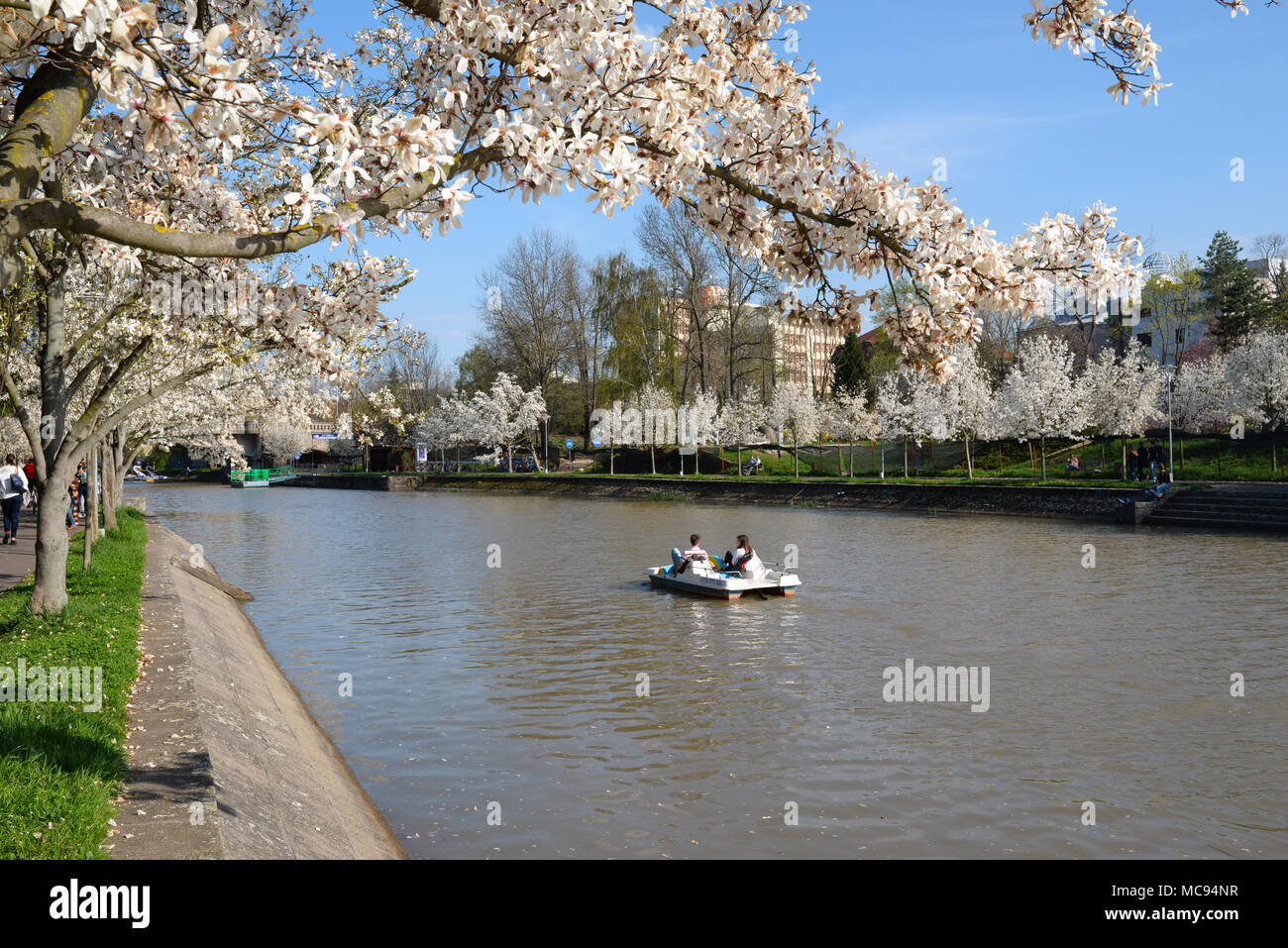 Bega river romania hi-res stock photography and images - Alamy