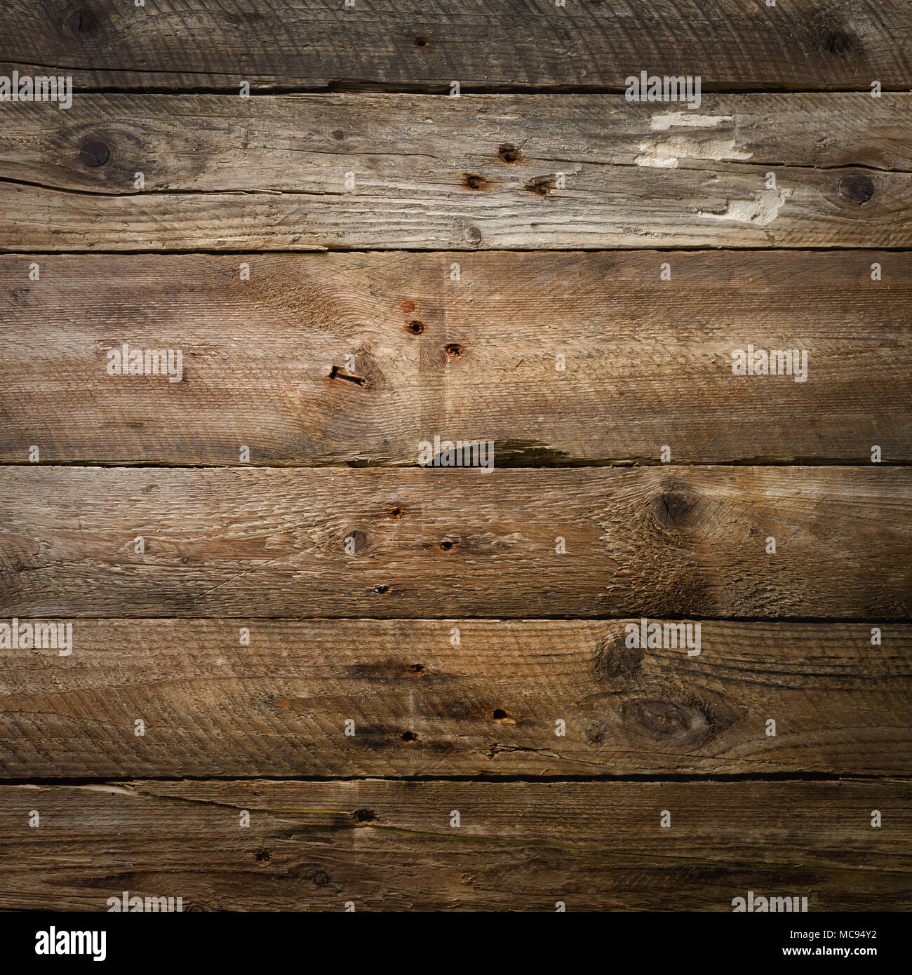 Natural wood texture for background. Copy space, banner. Square crop ...