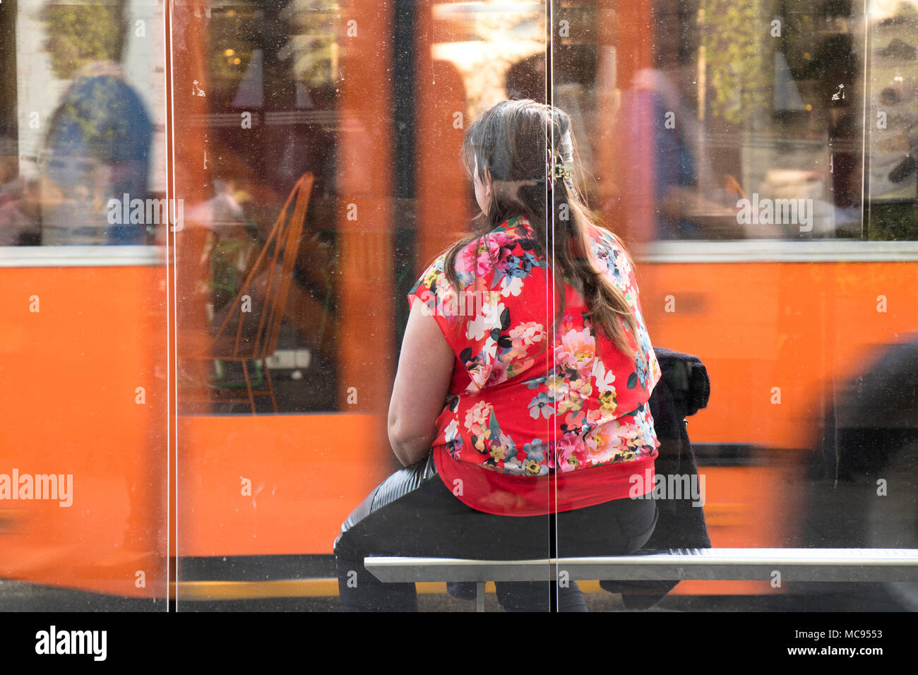 Ordinary common hi-res stock photography and images - Alamy