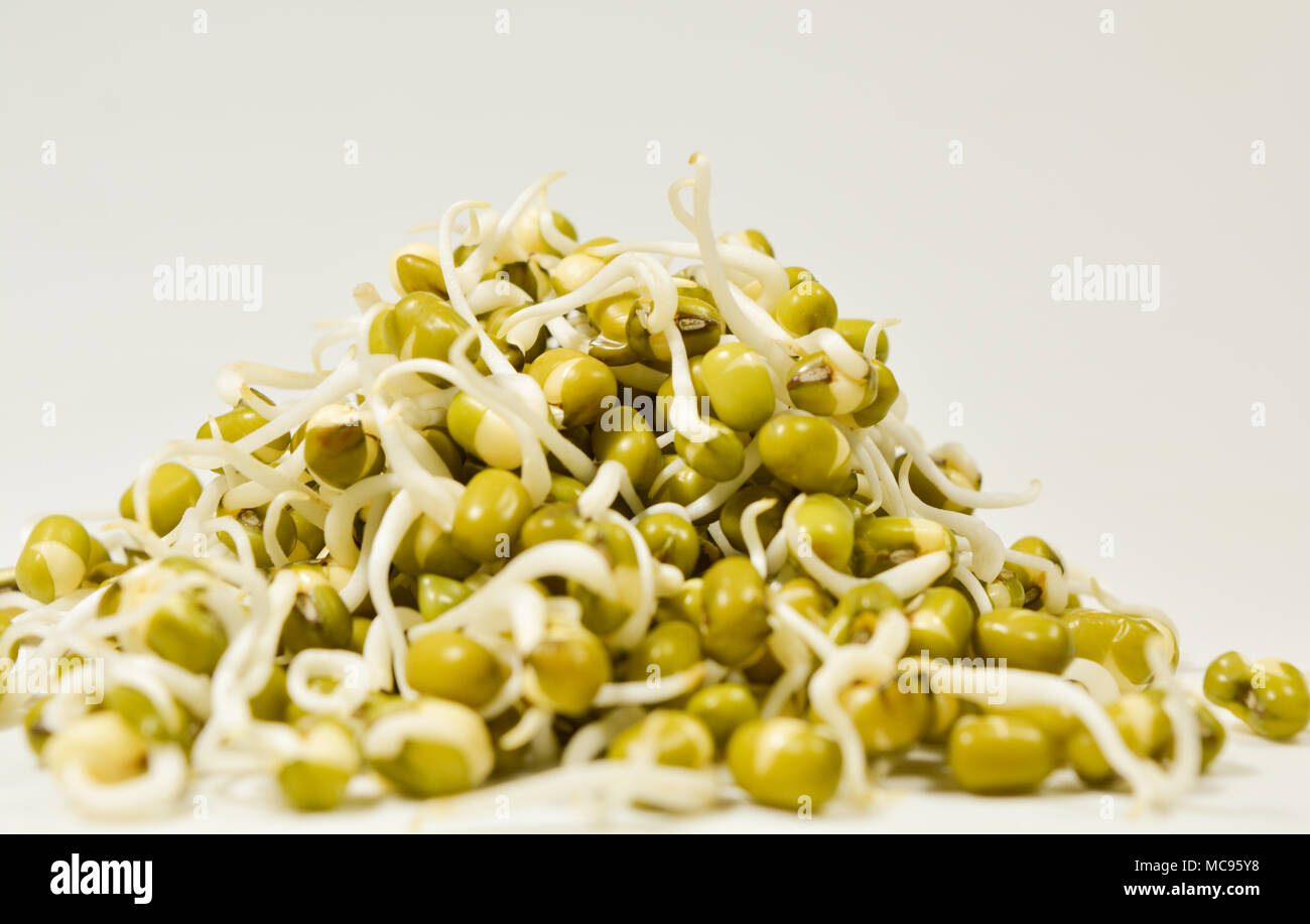 sprouted green gram on isolated white background Stock Photo - Alamy
