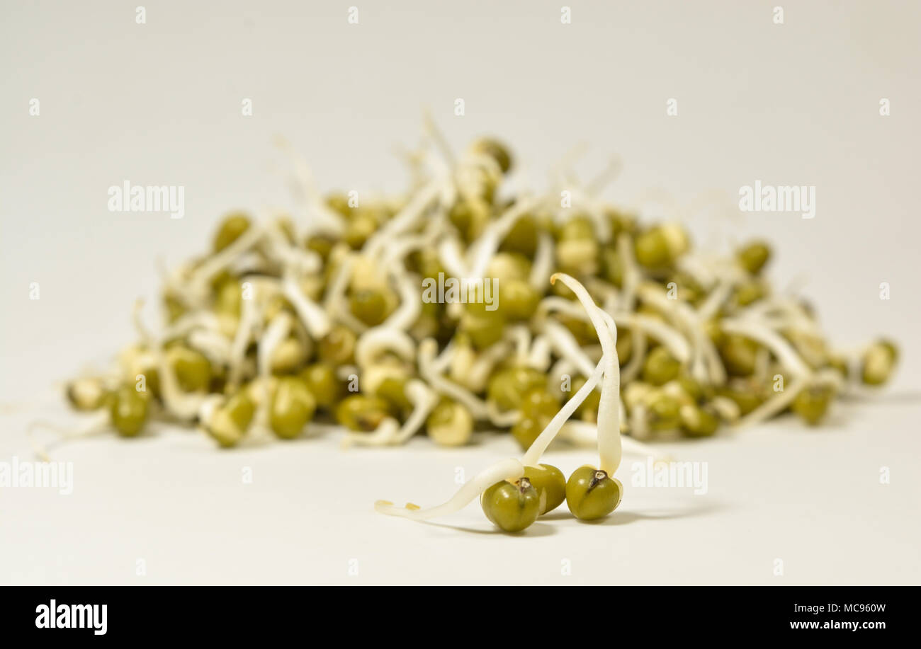 Green gram hi-res stock photography and images - Alamy