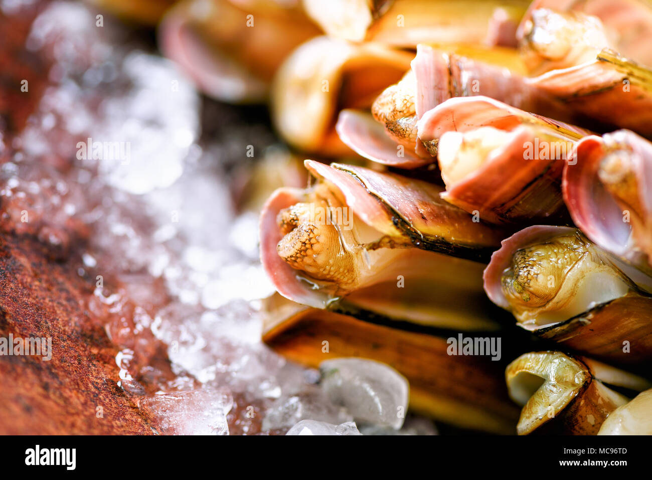 Razor clam recipe hi-res stock photography and images - Alamy