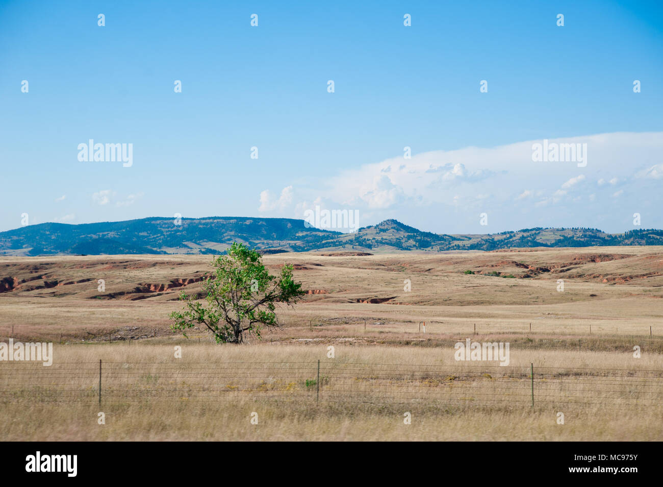 Landscape of the country side in America. America is a continent where ...