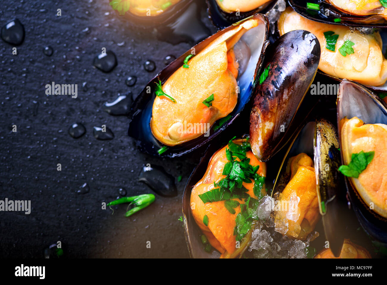 Mussels, molluscs, seaweed, sea plants, ice on old vintage rustic metal ...
