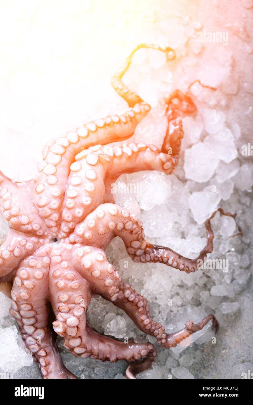 Fresh raw octopus on ice, grey concrete background. Top view, copy ...