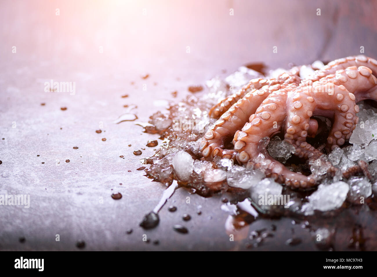 Fresh raw octopus on ice, grey concrete background. Top view, copy ...