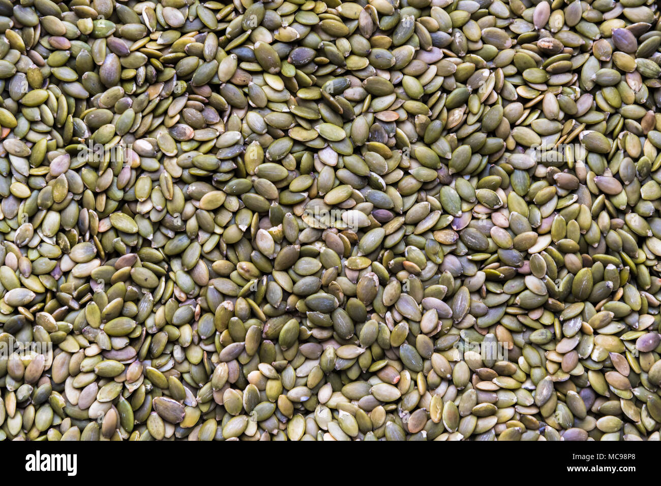 Pumpkin seed in the full frame Stock Photo - Alamy