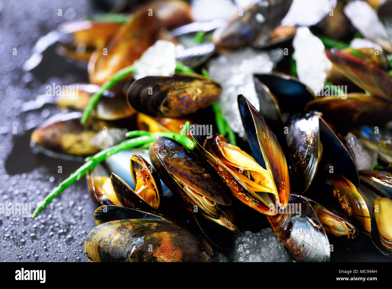 Mussels, molluscs, seaweed, sea plants, ice on old vintage rustic metal ...