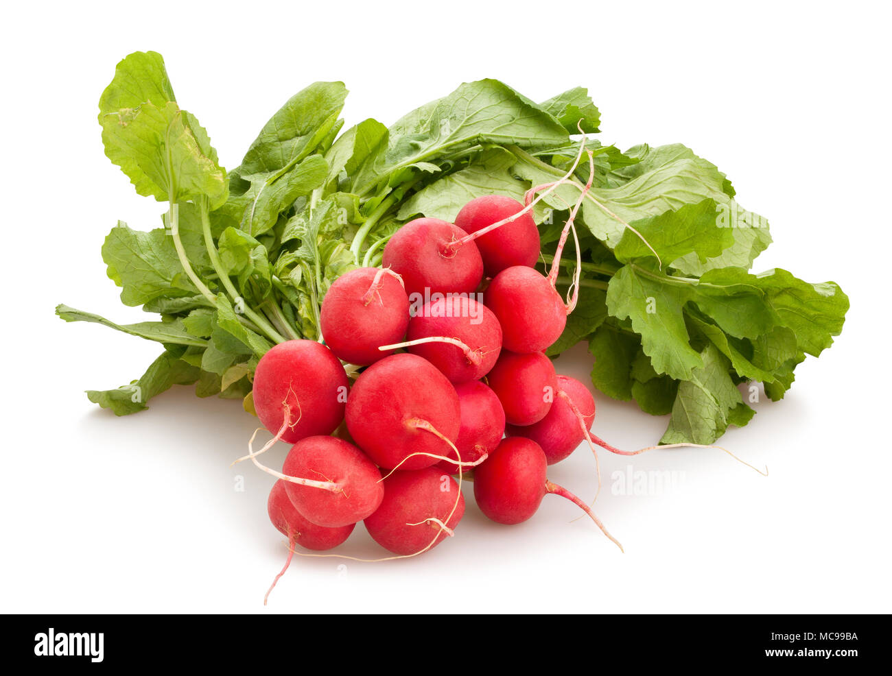 radish path isolated Stock Photo - Alamy