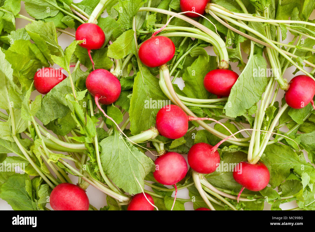 radish texture pattern Stock Photo - Alamy