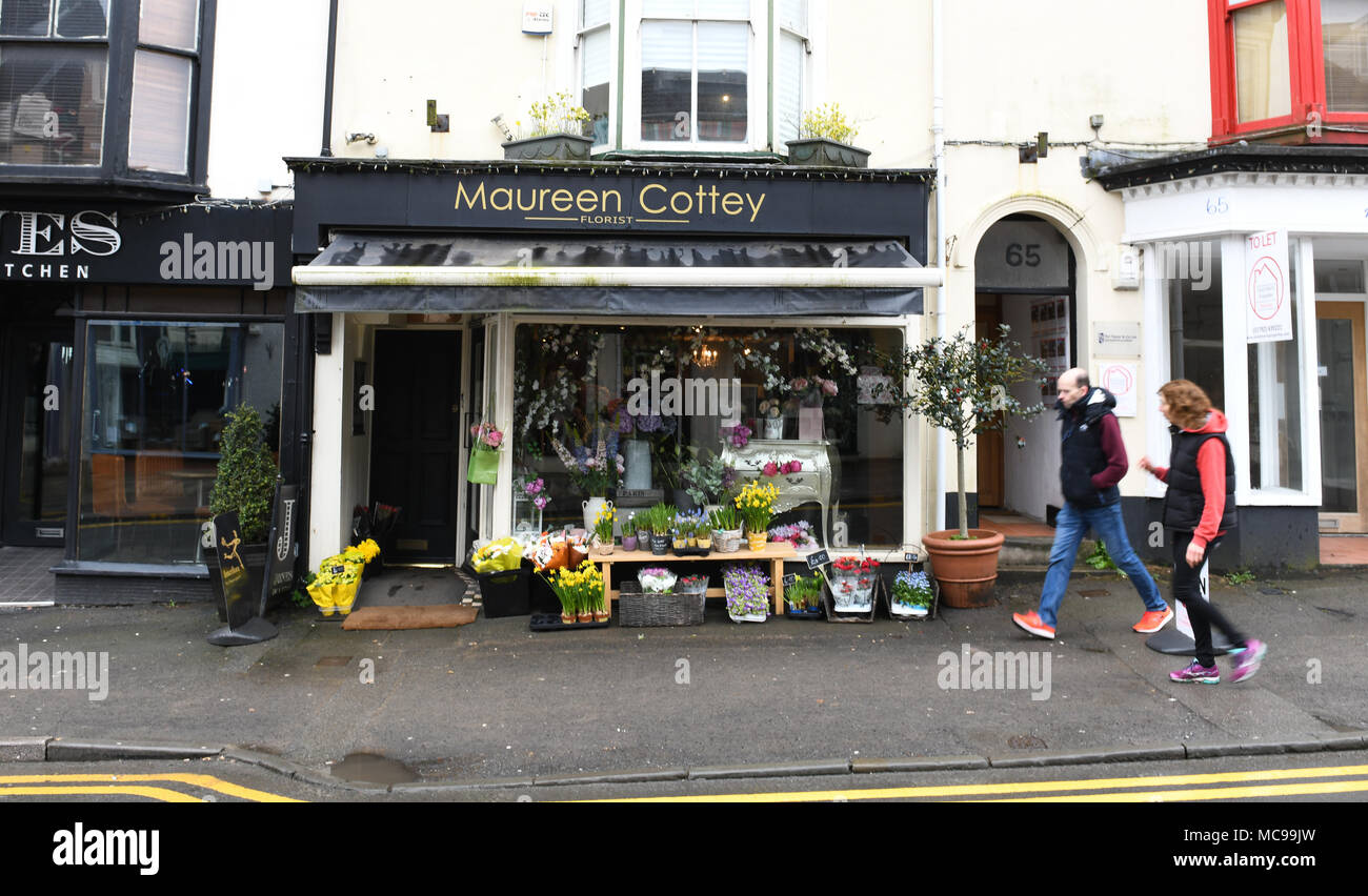 Maureen flowers hi-res stock photography and images - Alamy