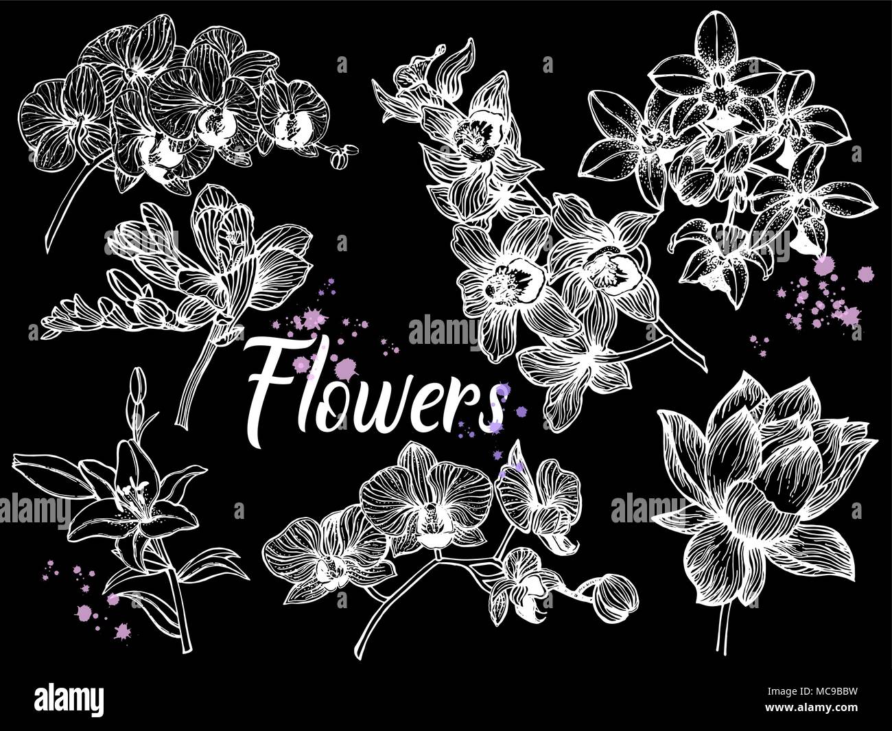 Set of hand drawn sketch style exotic flowers isolated on black ...