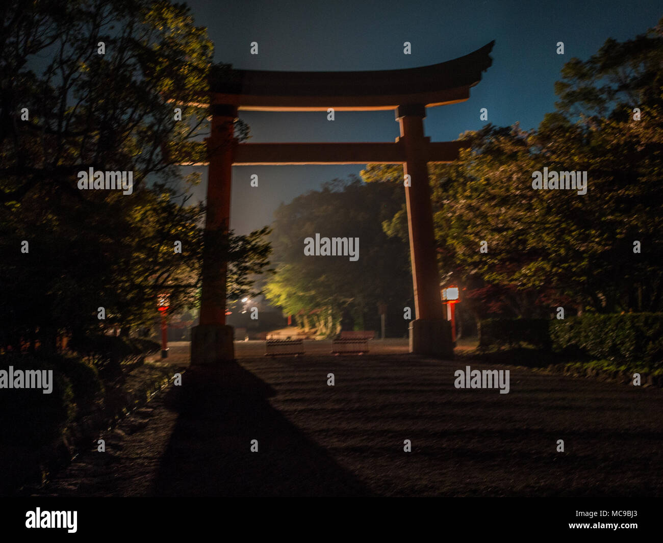 Torii gate at night, Usa Jingu, Oita, Kyushu, Japan Stock Photo - Alamy
