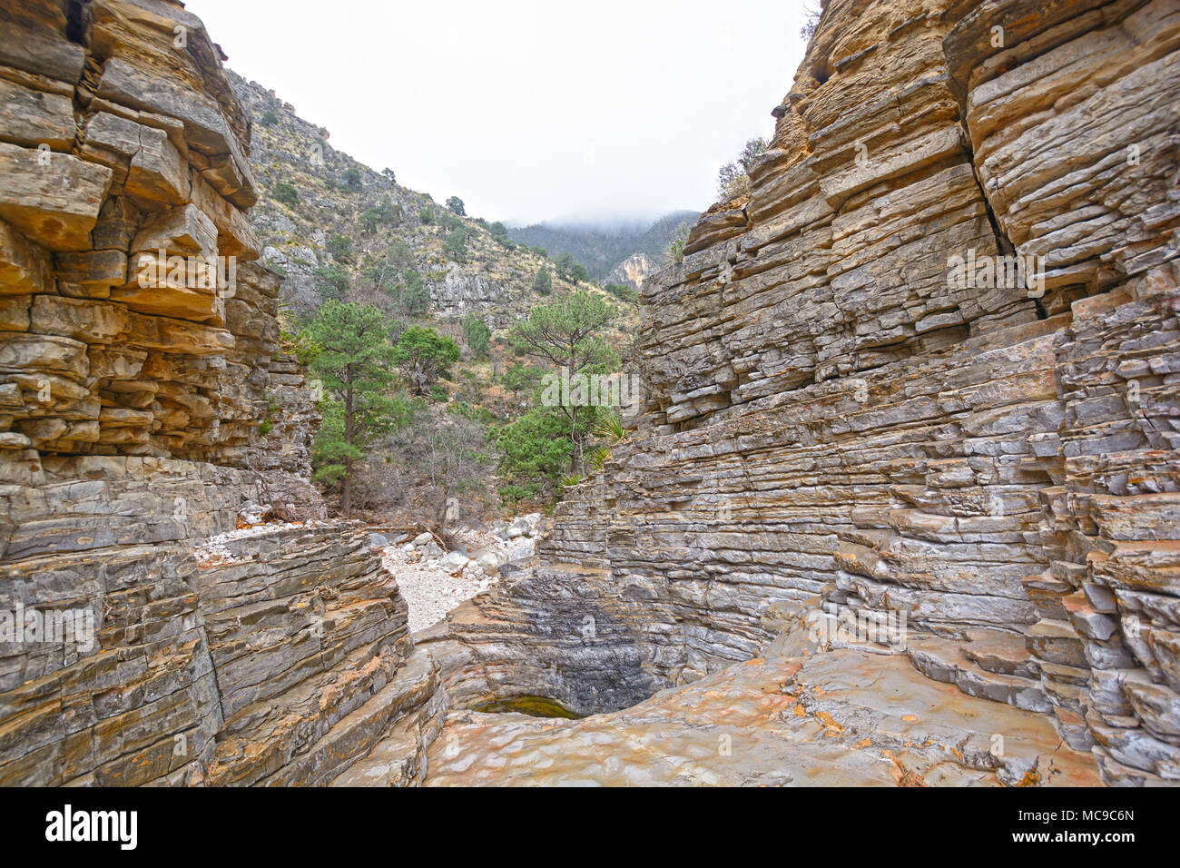 Details in the Devil's Hall in Guadalupe Mountains National park in ...