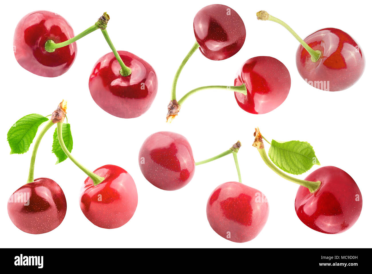 Isolated cherries.Cherry collection isolated on white background with ...