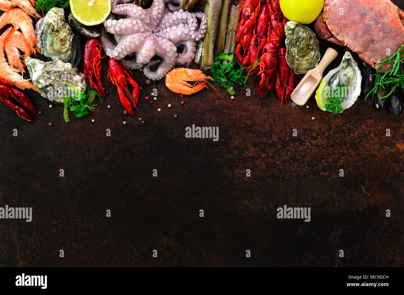 Seafood background - fresh mussels, molluscs, oysters, octopus, razor ...