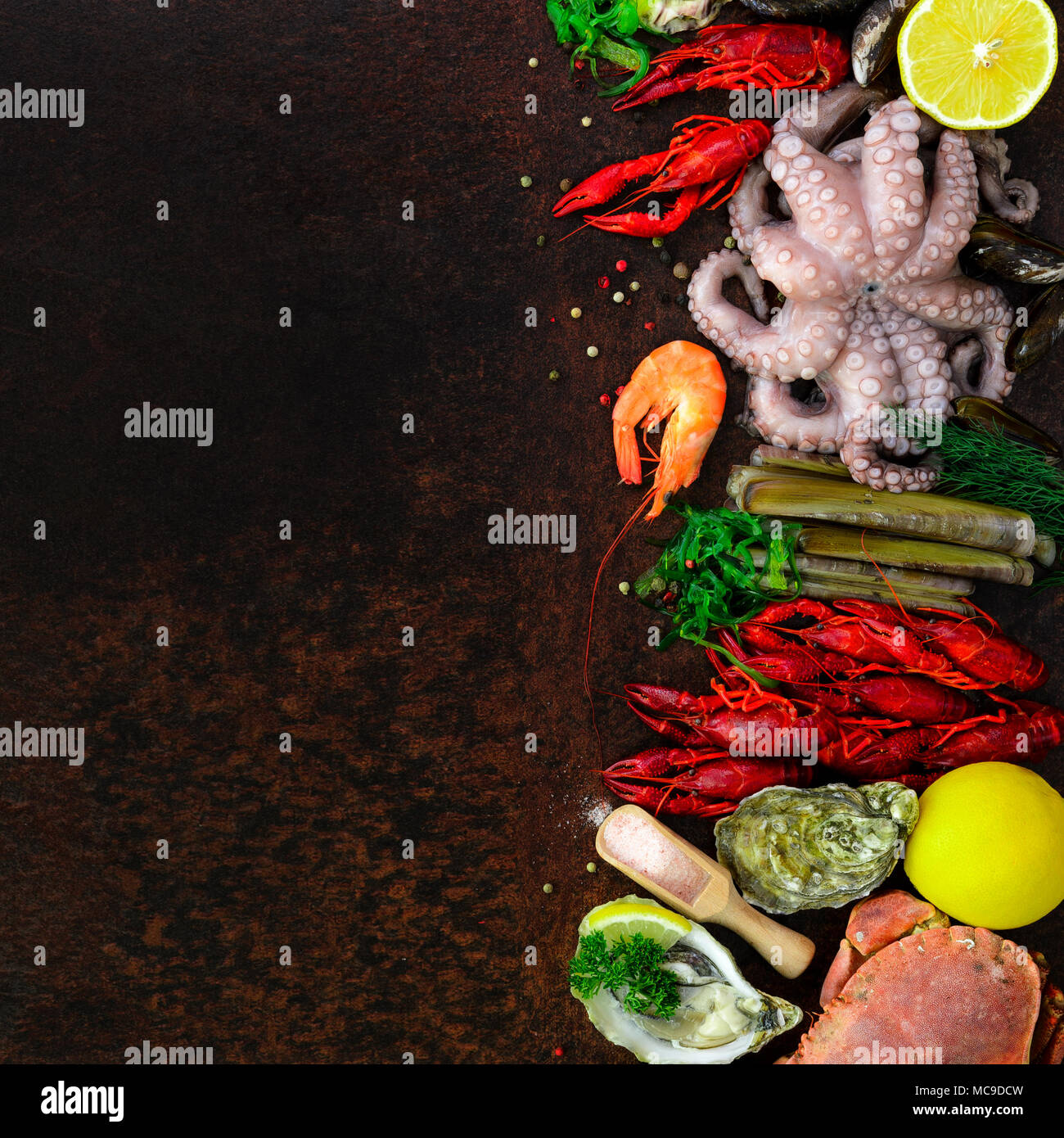 Seafood background - fresh mussels, molluscs, oysters, octopus, razor ...
