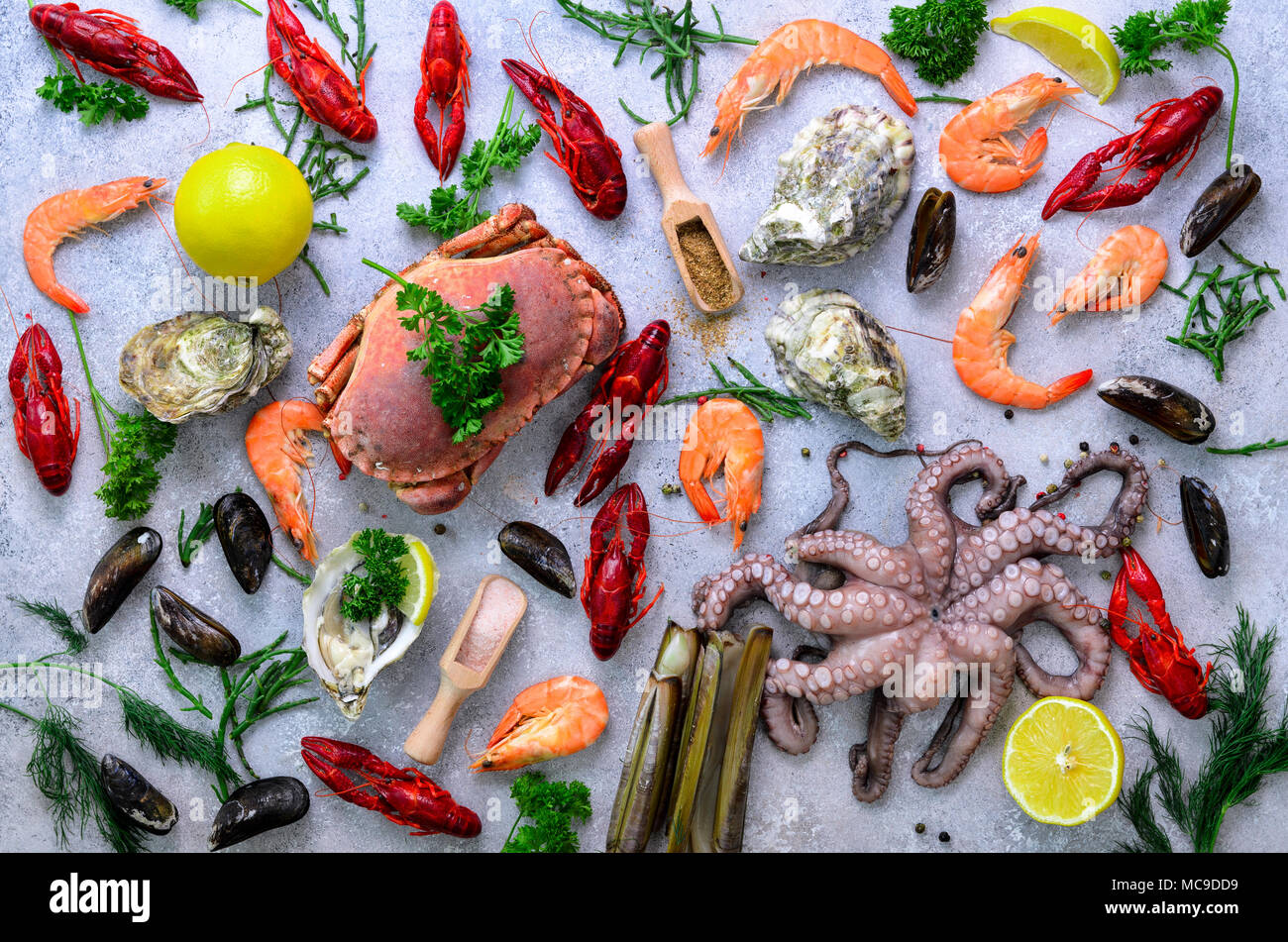 Seafood background - fresh mussels, molluscs, oysters, octopus, razor ...