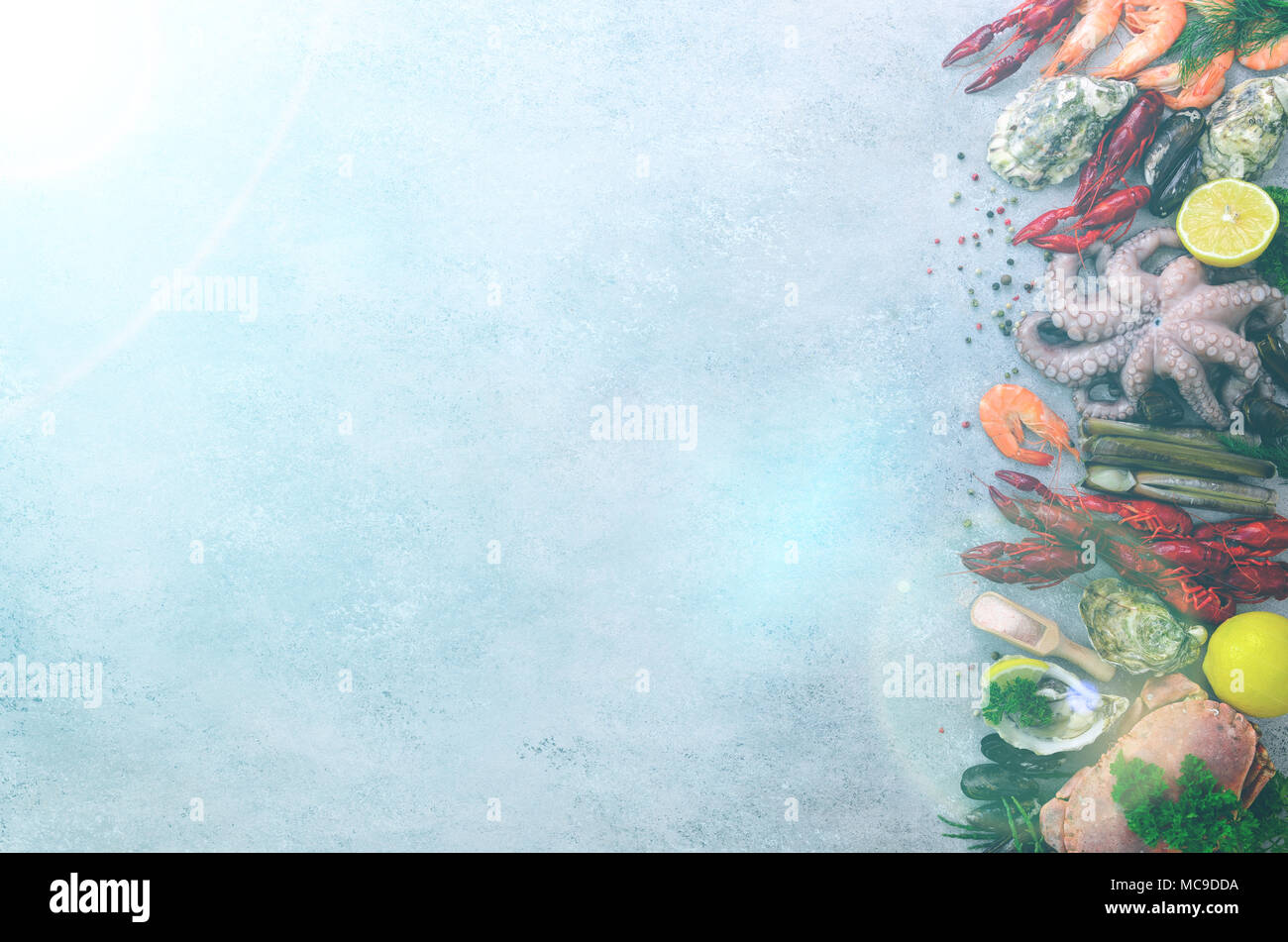 Seafood background - fresh mussels, molluscs, oysters, octopus, razor ...