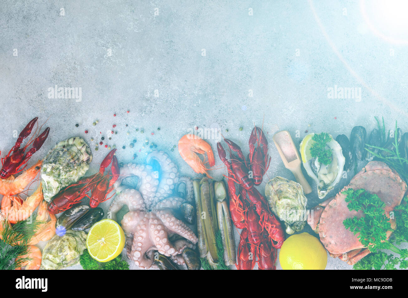 Seafood background - fresh mussels, molluscs, oysters, octopus, razor ...