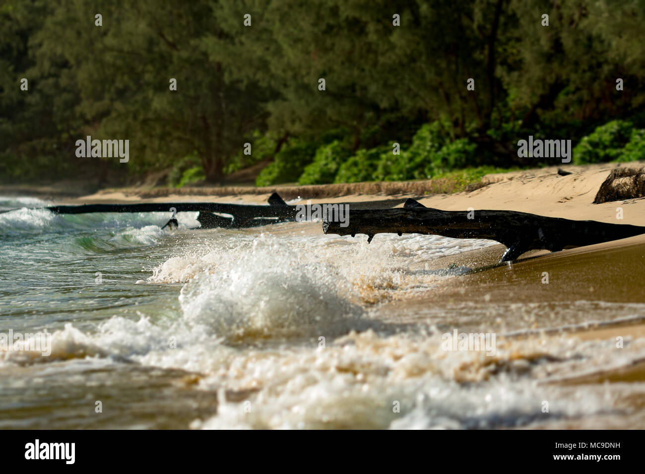 Lazy Beach with turquoise water. Waves are breaking on the shore ...