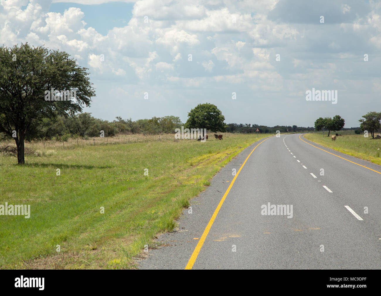 Landscape of the region Ghanzi at Botswanan during summertime Stock ...