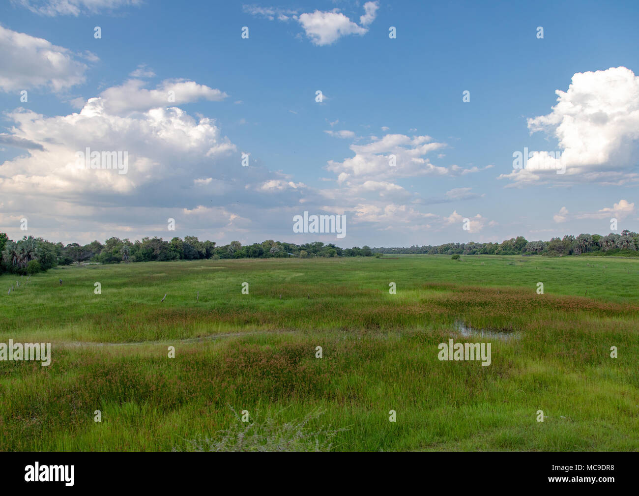 Landscape of the region Ghanzi at Botswanan during summertime Stock ...