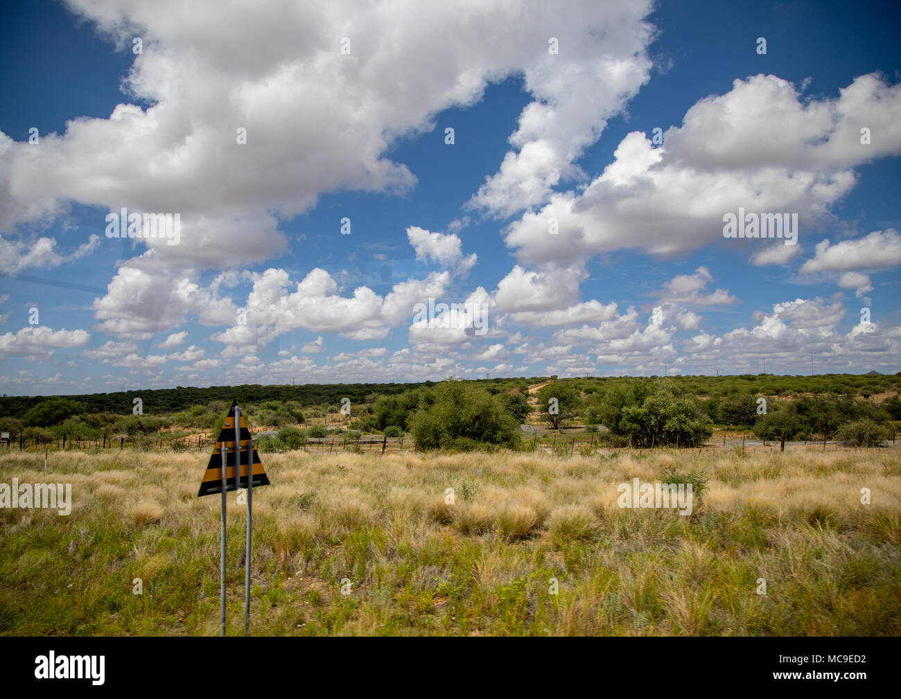 Landscape of the Kalahari at Namibia during summer Stock Photo - Alamy