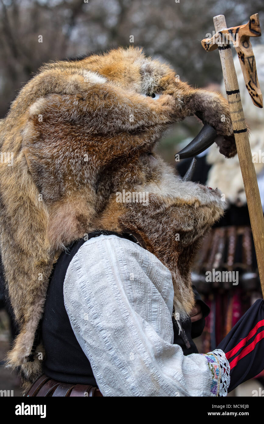 People in traditional carnival costumes at festival. Participants from ...