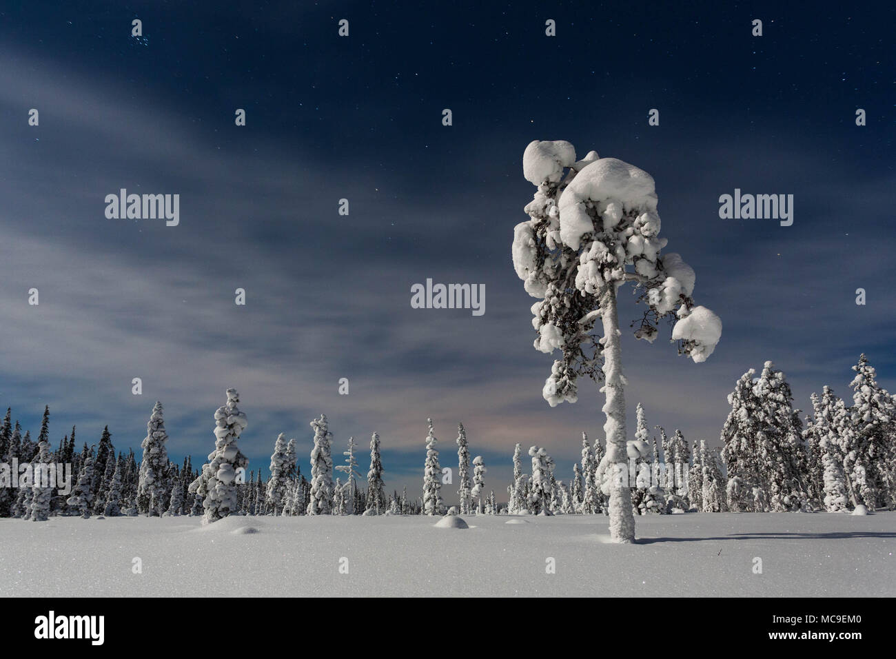 Moonlit scene in Finnish Lapland. Muonio, Finland Stock Photo - Alamy