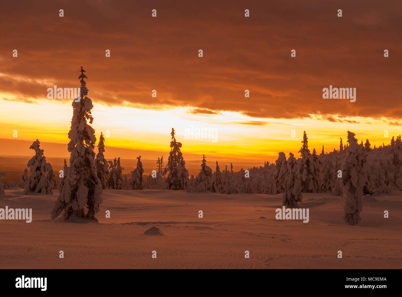 Scene from Fell Olostunturi in Muonio, Lapland, Finland Stock Photo - Alamy