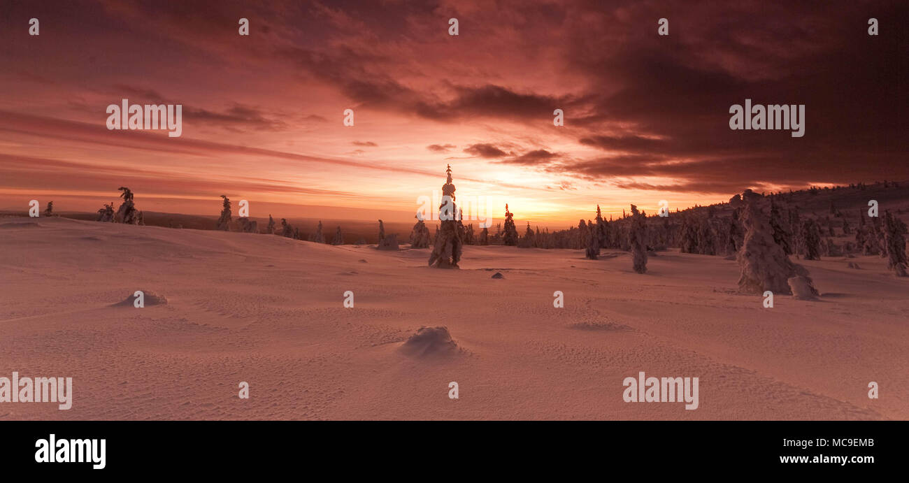 Scene from Fell Olostunturi in Muonio, Lapland, Finland Stock Photo - Alamy
