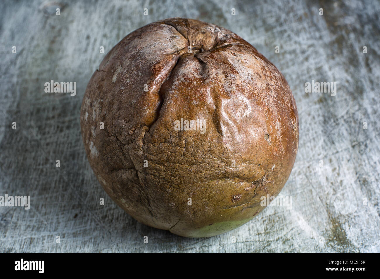 whole borojo fully ripe fruit closeup on wood surface Stock Photo - Alamy