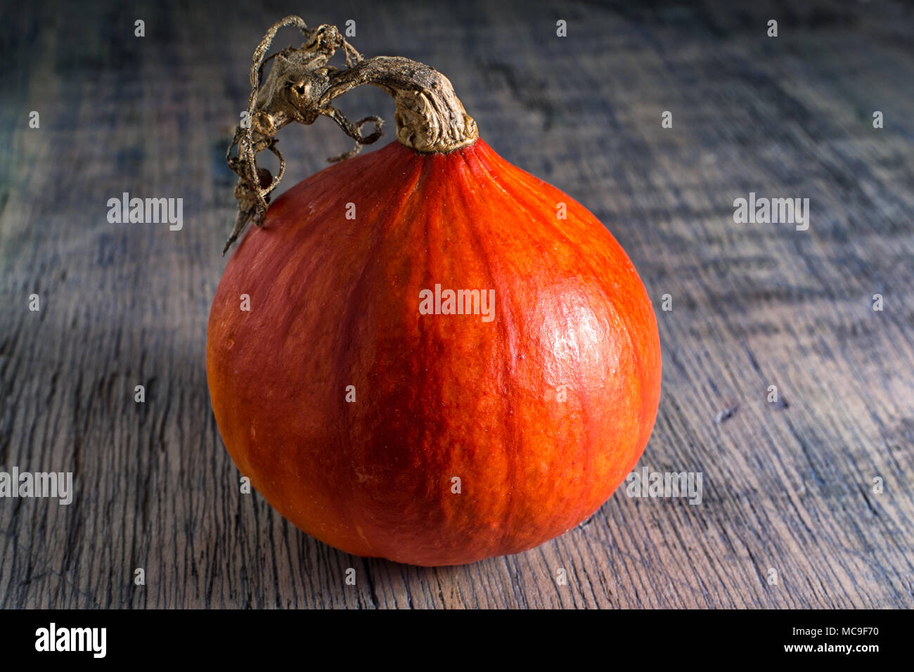 Red Kuri (Hokkaido) japanese squash Stock Photo - Alamy