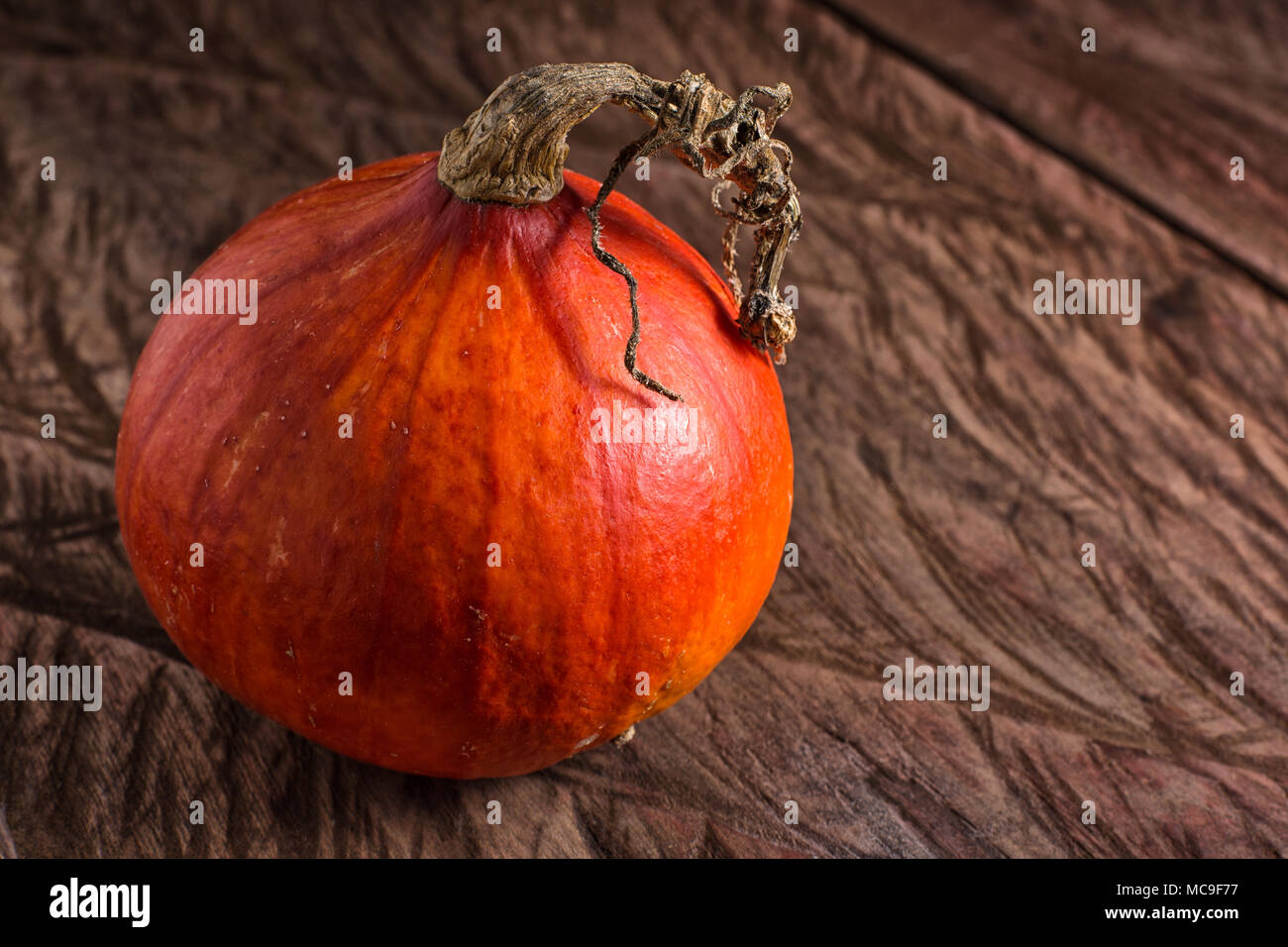 Red Kuri (Hokkaido) japanese squash Stock Photo - Alamy