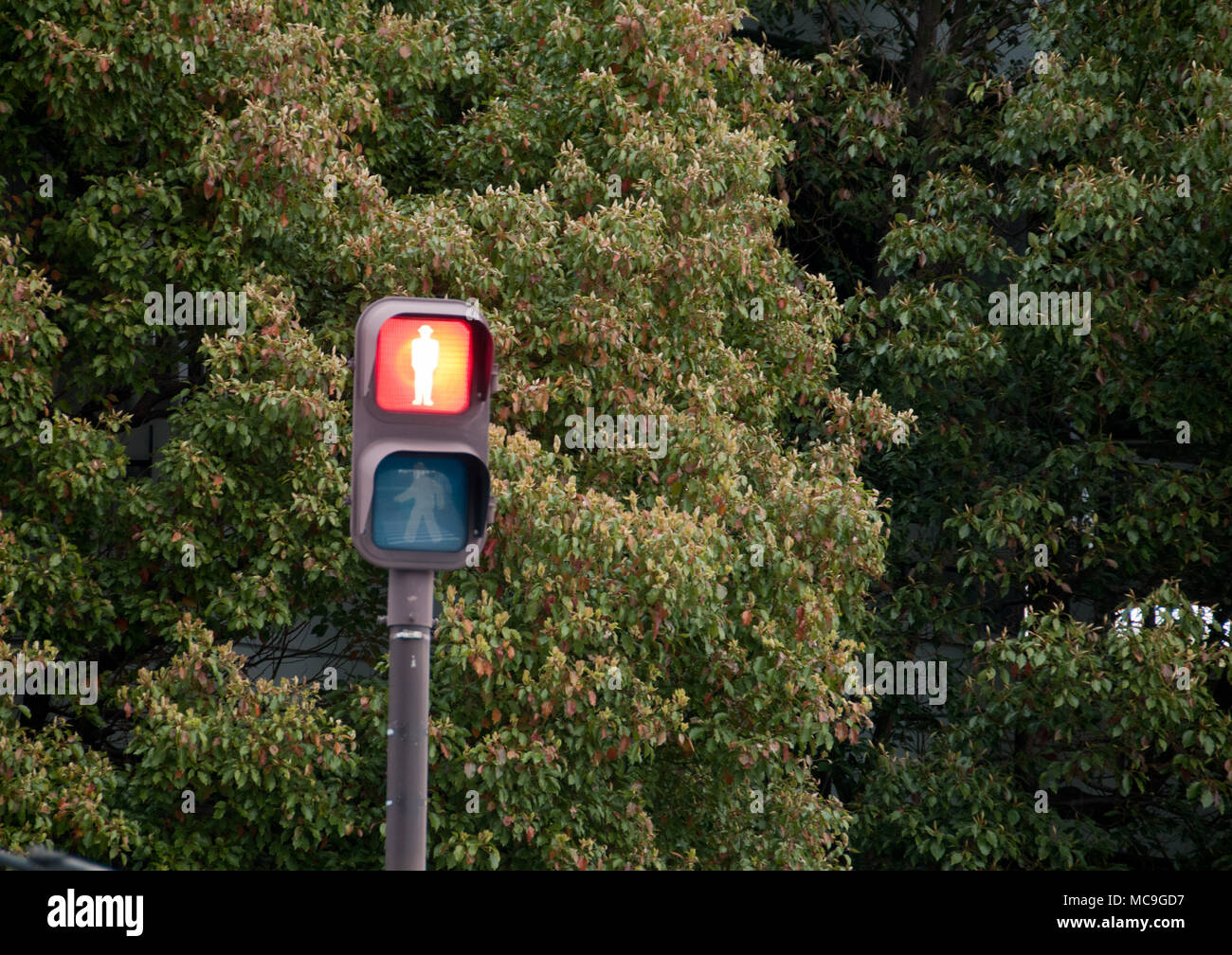 Green pedestrian traffic lights hi-res stock photography and images - Alamy