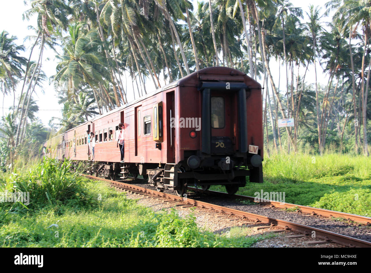 A train passing some coconut palm trees on it's way to Colombo, Sri ...