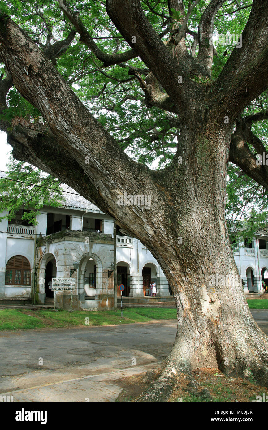 British colonial architecture sri lanka hi-res stock photography and ...