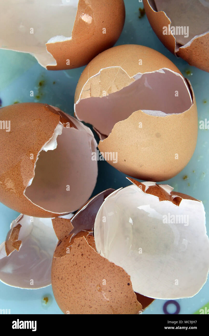Cracked egg shells. Cracked eggs Stock Photo - Alamy