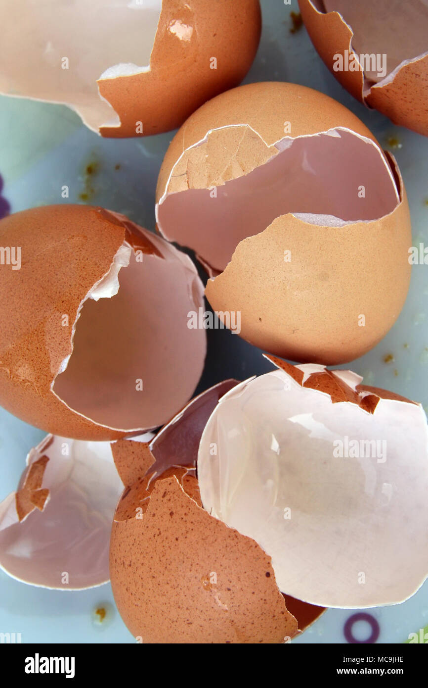 Cracked egg shells. Cracked eggs Stock Photo - Alamy
