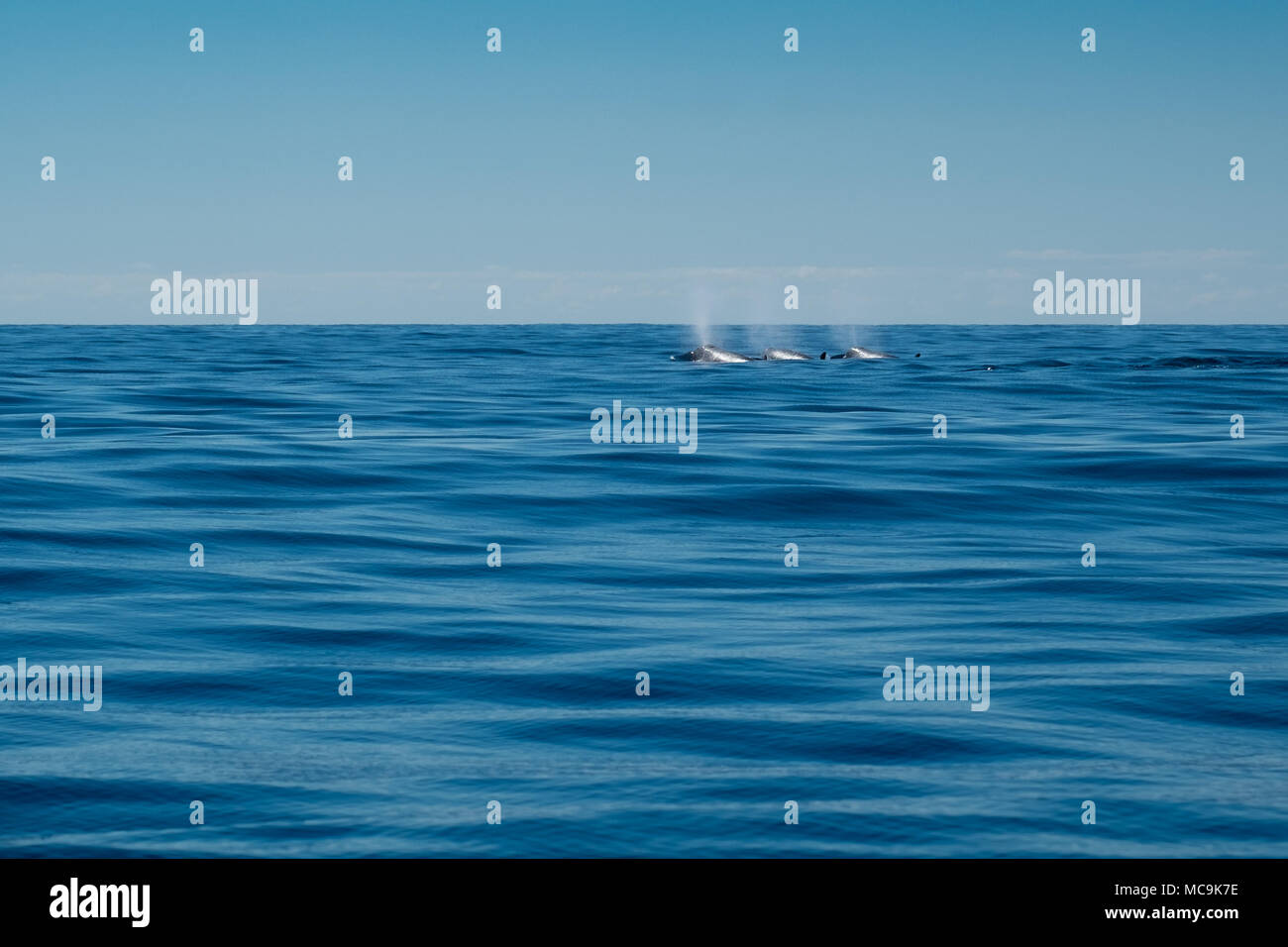 Three deep formation hi-res stock photography and images - Alamy