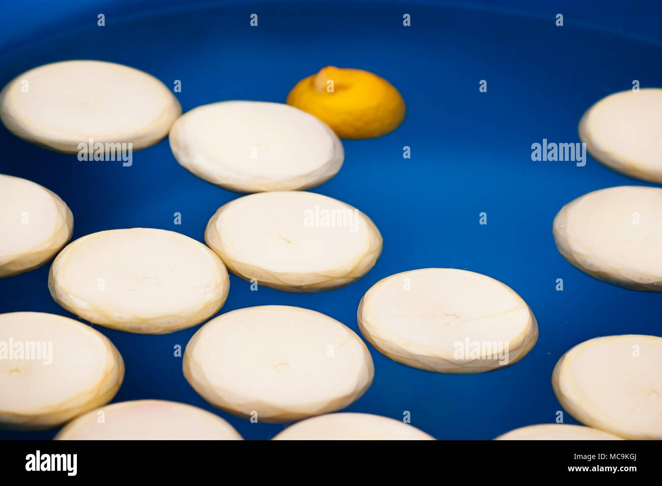 Floating white cheese in a blue bowl with half lemon at a market in ...