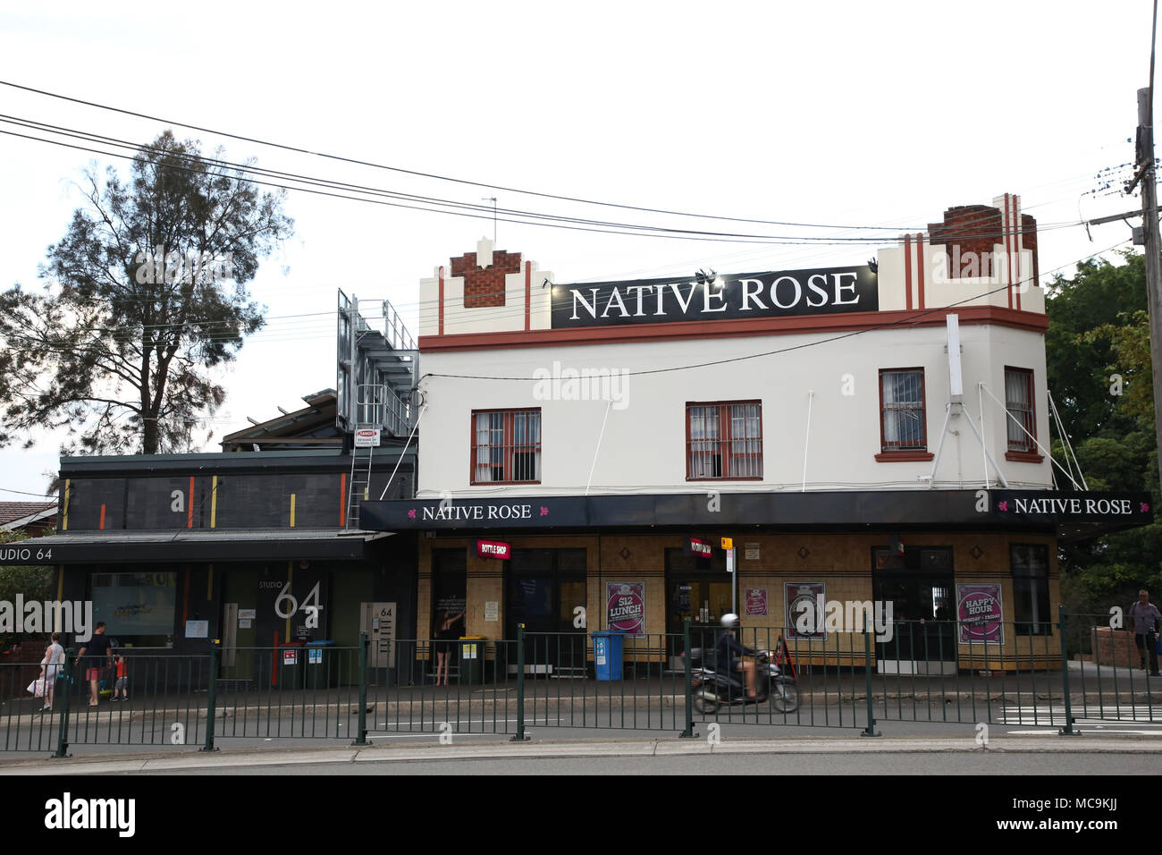 Native Rose, 68 Victoria Rd, Rozelle NSW 2039 Stock Photo - Alamy
