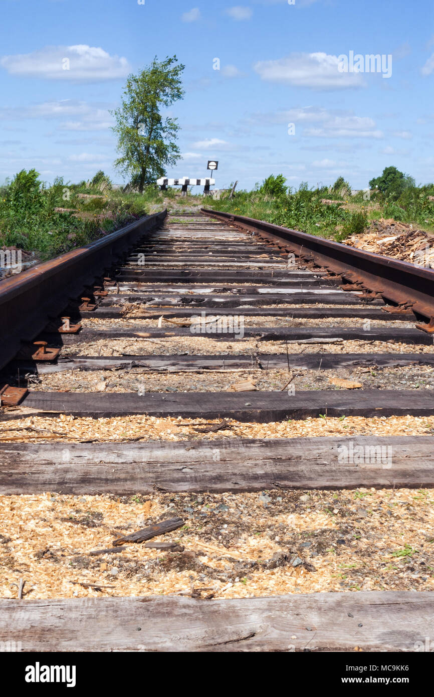 Perspective view of the old abandoned rusty railway tracks in deadlock ...
