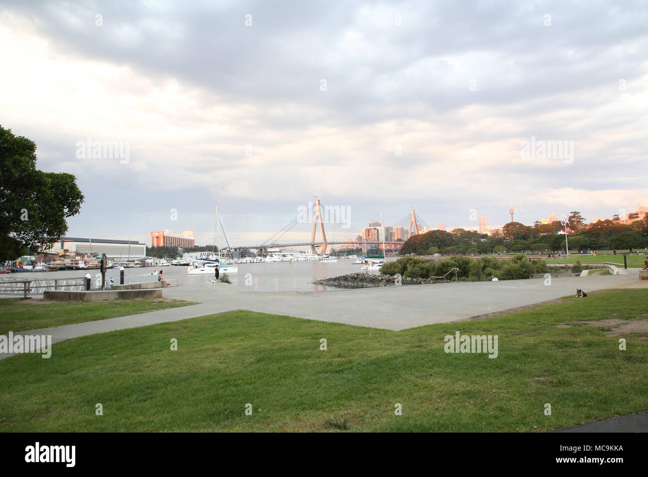 View towards the ANZAC Bridge from Bicentennial Park, Annandale just ...