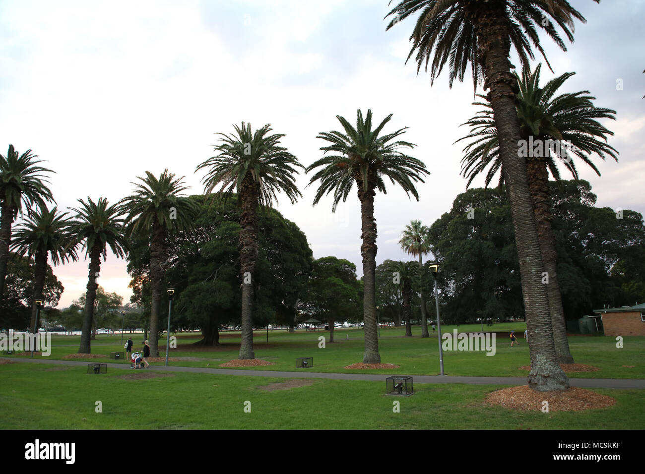Jubilee park glebe hi-res stock photography and images - Alamy