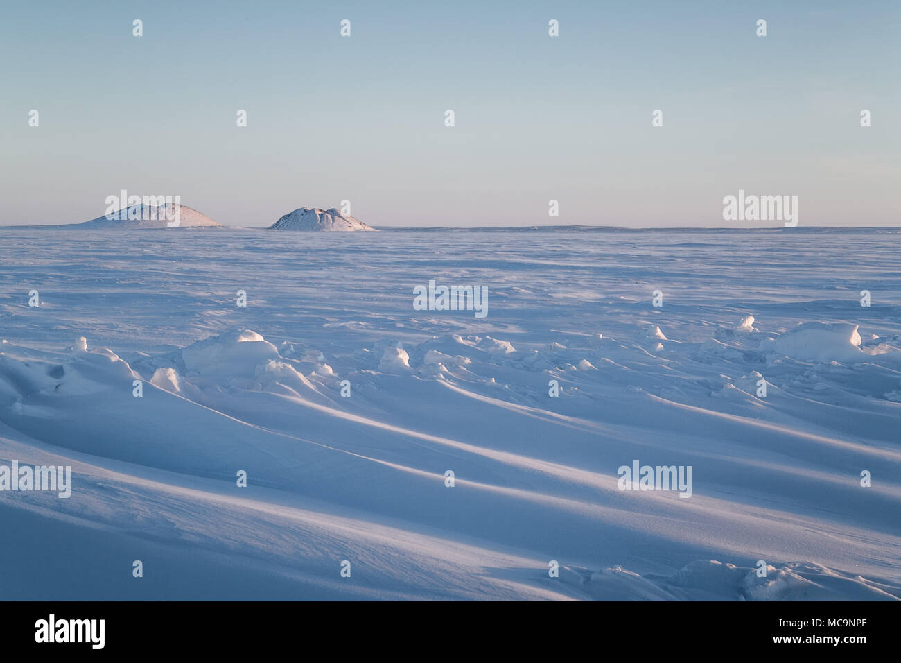 Pingo Pingo Stock Photos & Pingo Pingo Stock Images - Alamy