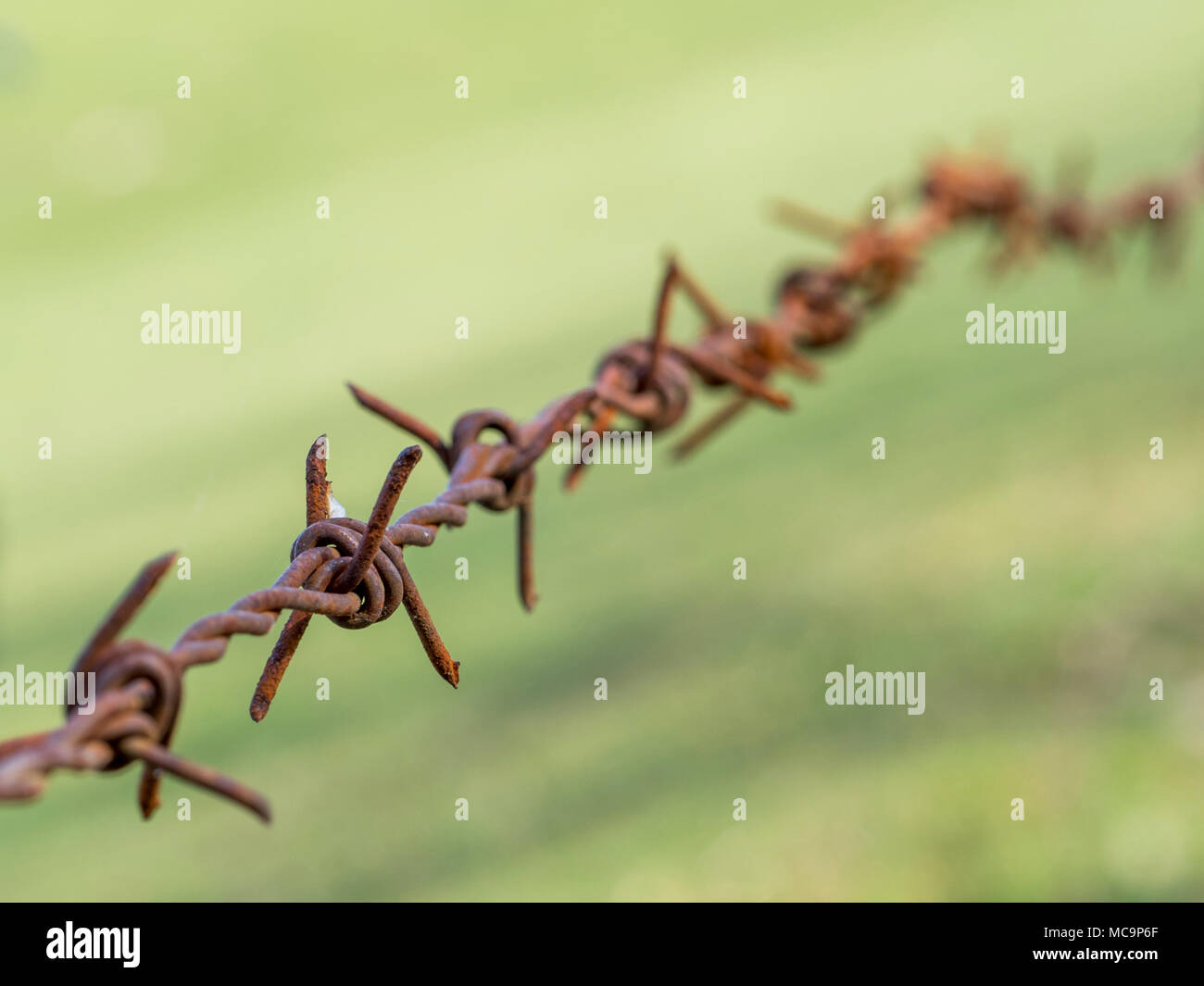 Wire with rust hi-res stock photography and images - Alamy