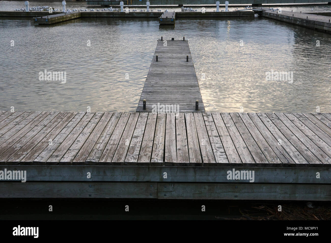 Wooden marina lakeside dock empty of boats Stock Photo - Alamy