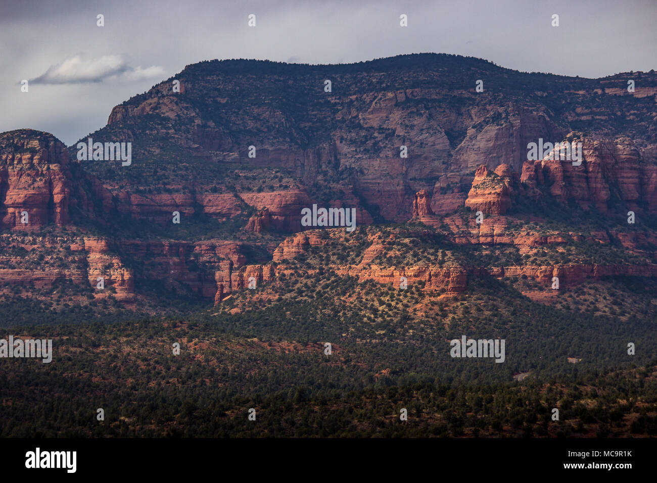 Beautiful view of Red Rock Secret Mountain Wilderness, sculpted with ...